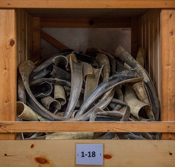 The History and Process of Abbeyhorn | He Spoke Style